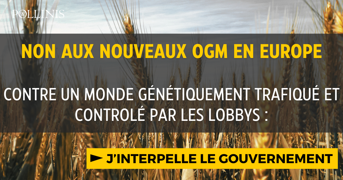 NON à l’invasion des nouveaux OGM en Europe